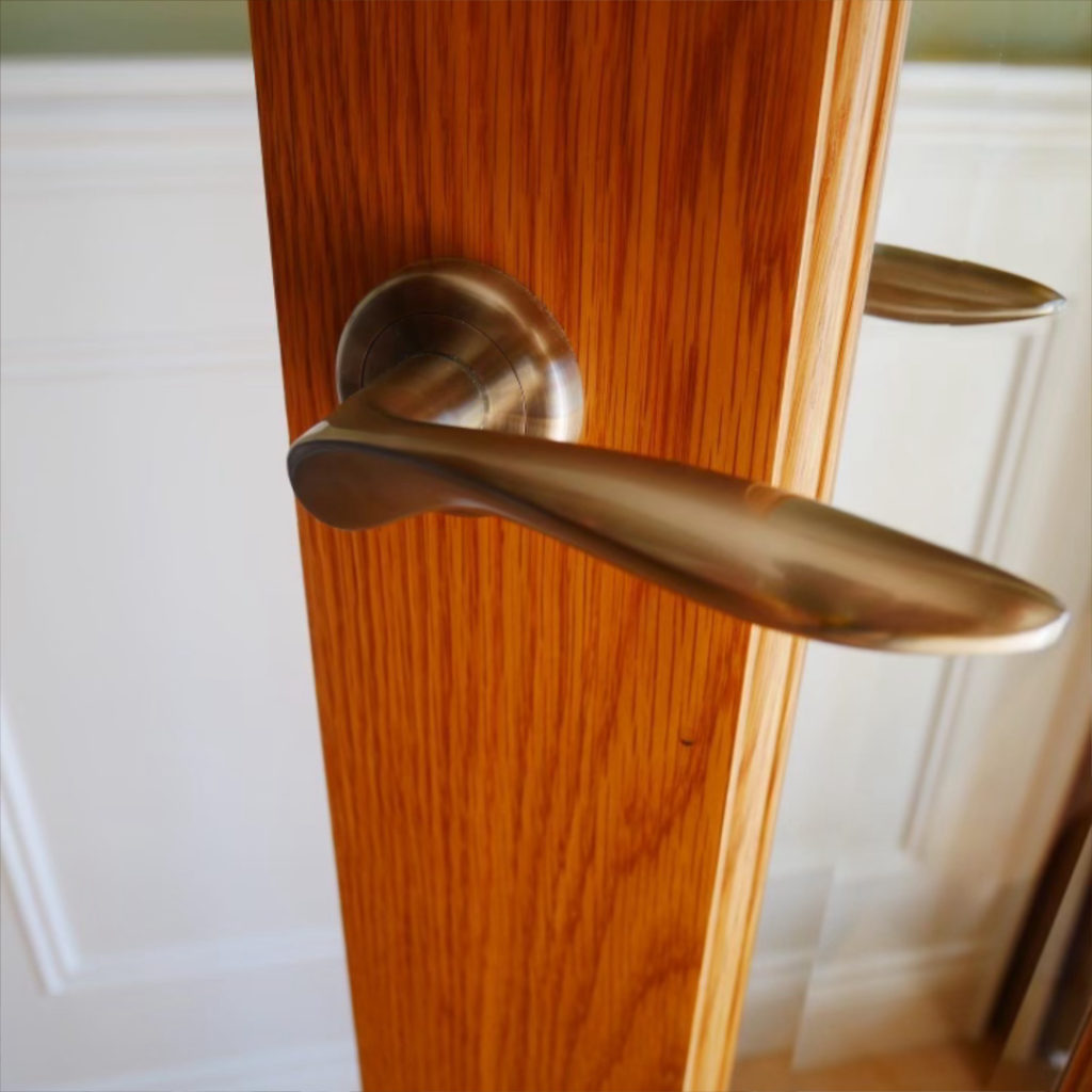 Salina Door Handle Set, Available at Ryan's Timber Limerick